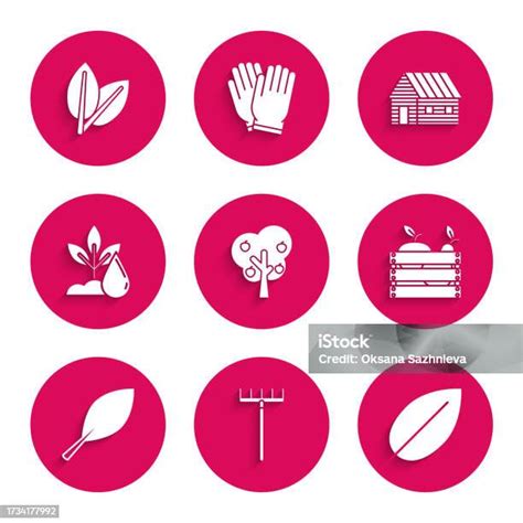 사과 정원 갈퀴 잎 과일과 채소를 위한 나무 상자 관수 식물 농장 집 및 잎 아이콘이 있는 나무를 설정합니다 벡터 과일에 대한