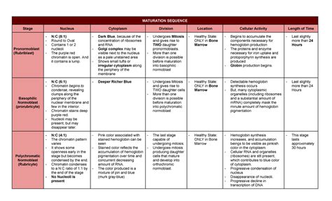 Maturation Sequence Of Rbc Maturation Sequence Stage Nucleus Cytoplasm Division Location