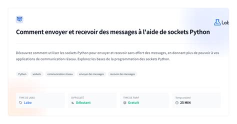 Sockets Python Envoyer Et Recevoir Des Messages Facilement Labex