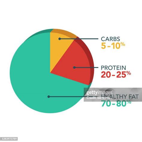67 Fats Infographic High Res Illustrations Getty Images