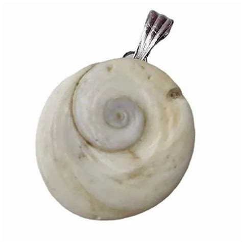 Gomati Chakra Pendant At ₹ 300 Piece Astrology Products In New Delhi