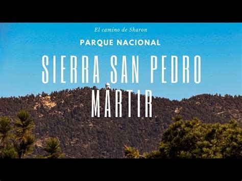 Parque Nacional Sierra San Pedro Mártir Ensenada Baja California ¿que