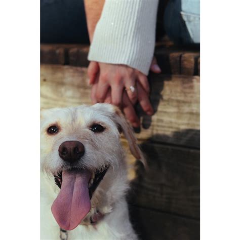 Meaghan Holmes And Daniel Fletchers Wedding Website