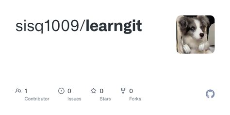 Github Sisq1009learngit