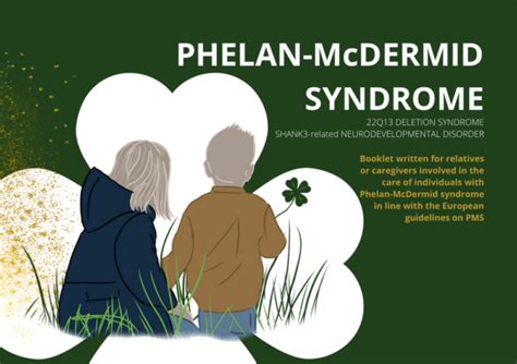 Phelan Mcdermid Guideline Ern Ithaca