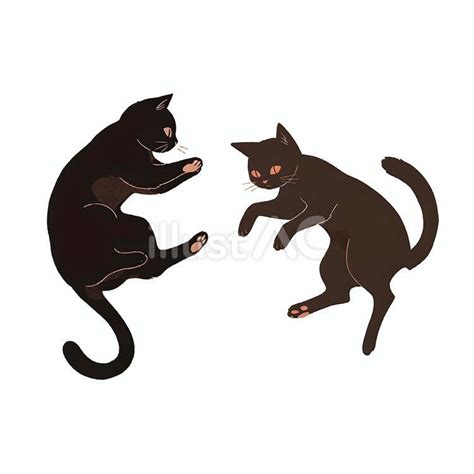じゃれ合う2匹の猫イラスト No 23785660｜無料イラスト・フリー素材なら「イラストac」