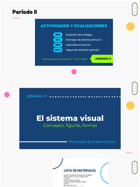 Clase 9 El Sistema Visual Pdf Percepción Visual Ojo