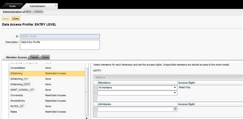Bpc Task Profile And Data Access Profile Tables In S Sap Community