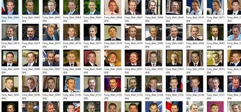 Pythonsklearn机器学习算法系列之pca主成分分析 人脸识别k Nearestneighborknn