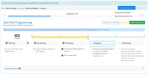 Role Assignments For Custom Capability Template Lean Agile Intelligence