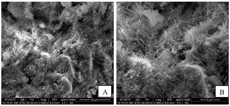 Influences Of Carbonated Recycled Concrete Fines On Cement Hydration