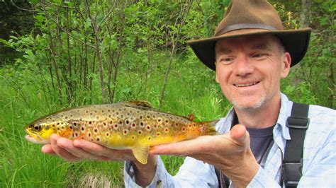 The Best Hook Size For Trout Catch More Size Matters Guide Recommended