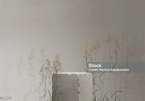 3d 디스플레이 연단 베이지색 배경입니다 잔디가 있는 최소한의 아름다움 돌 받침대 자연 화장품 발표 태양 그림자가 있는 템플릿입니다 스튜디오 3d 렌더링 0명에 대한 스톡