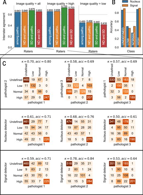 The Predication Of The Two Stage Deep Learning Based Detection System