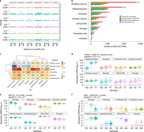 Cell Type Specific Genetic Effects On Gene Expression A Enrichment Of Download Scientific