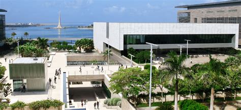 King Abdullah University Of Science And Technology Kaust University