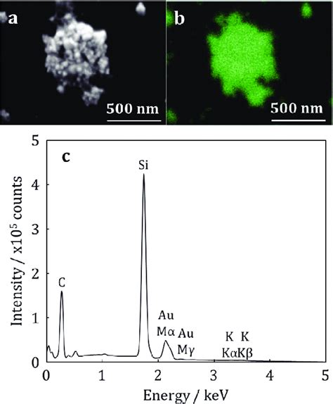 Scanning Electron Microscope Image Of The Gold Nanoparticles Prepared