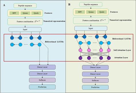 The Framework Of The Proposed Acpred Bmf With Multi Feature