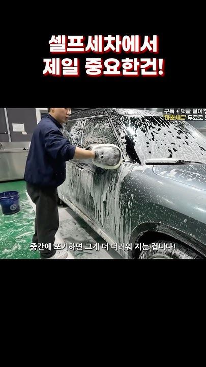 제일중요 셀프세차손세차디테일링세차세차세차초보세차용품추천세차순서세차방법 Youtube