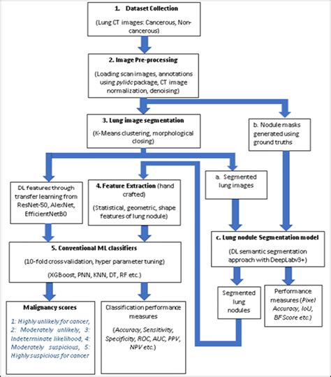 Proposed Workflow Nodulediag Download Scientific Diagram