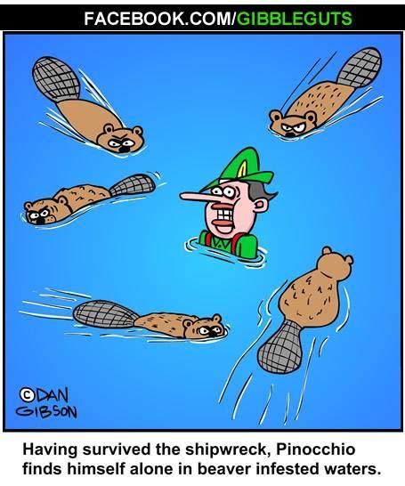 Gibble Guts Again Beaver Cartoon Funny Cartoons Beaver