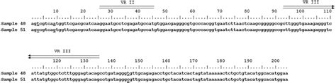 alignment of nucleotide sequences from the 5′ utr of hobi like strains