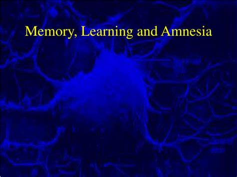 Ppt Memory Learning And Amnesia Powerpoint Presentation Free Download Id 3538468