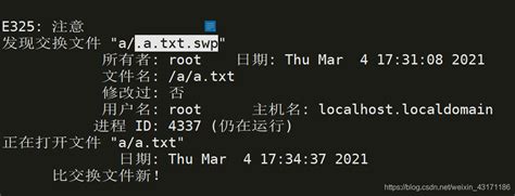 linux出现 swp文件是解决方法 txt swp csdn博客