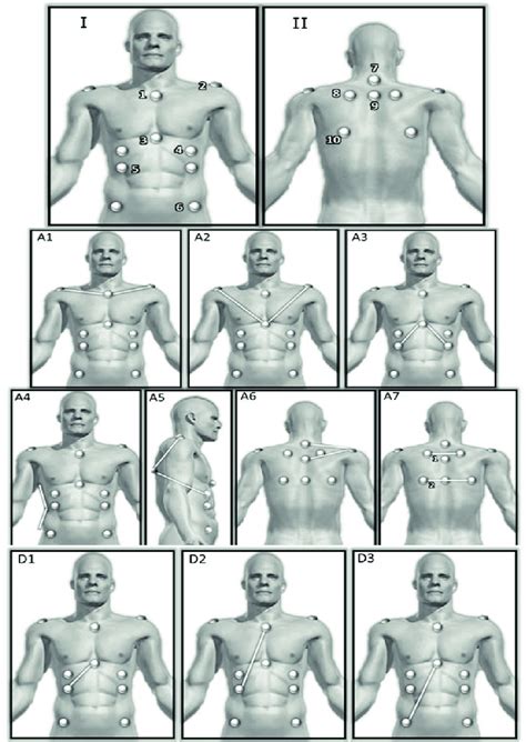 I 1 Manubrium Of The Sternum 2 Acromial Of The Scapula 3 Download Scientific Diagram