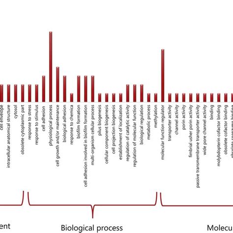 Gene Oncology Enrichment Depicted From Part C Representing Unique Cds Download Scientific