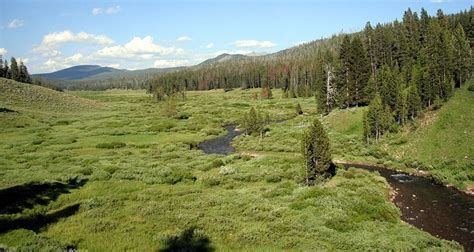 10 Best Yellowstone National Park Small Group Tours And Trips 20242025