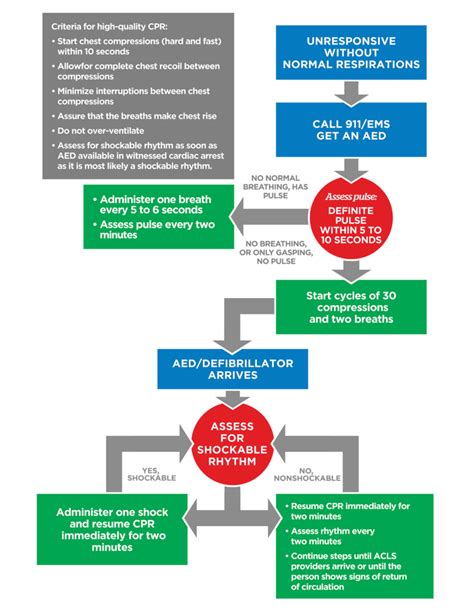 Adult Bls Algorithm Acls Online Handbook