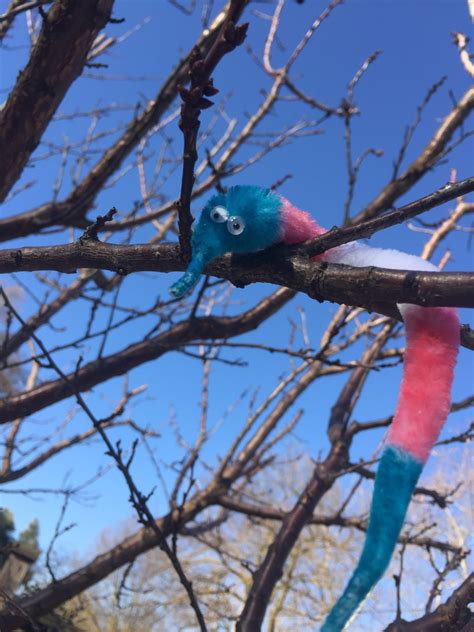 Worm Time Babey — Trans And Non Binary Rights Babey The Trans