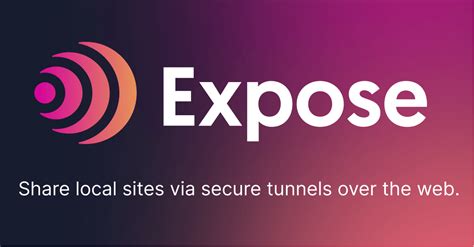 Larachat Articles Webhook Testing With Expose