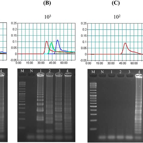 Comparative Detection Sensitivity And Speed Of Mhp Lamp Assay Run On