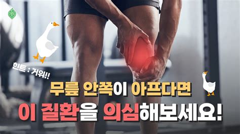무릎 안쪽이 아프다면 0000 의심해보세요 Youtube