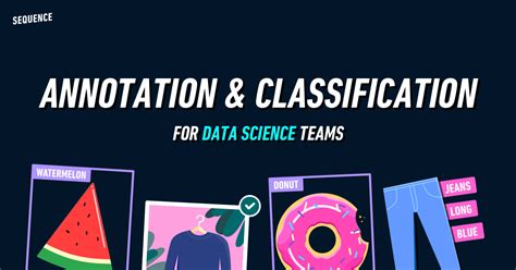 Sequence Annotation And Classification For Data Science Teams