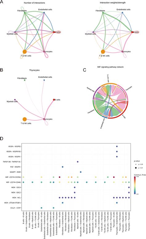 Cell Communication Analysis A Left Panel Number Of Ligand Receptor Download Scientific