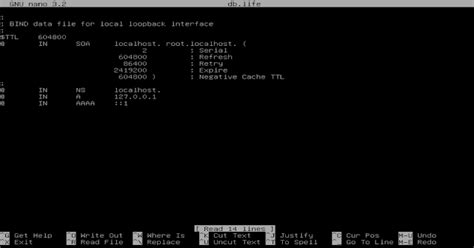 membuat dns server di debian 10 menggunakan virtual box