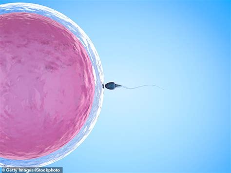 The New Male Birth Control Gel You Rub On Your Shoulder AND Can Boost Your Sex Life Daily Mail