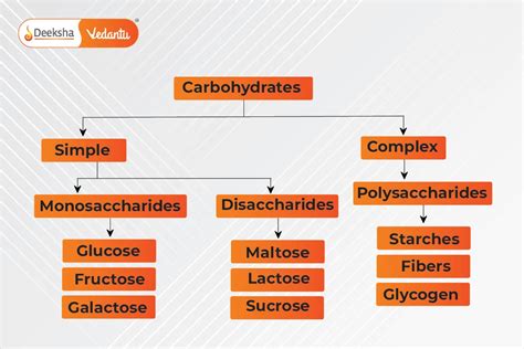 Carbohydrates Structure Properties Classification And Functions