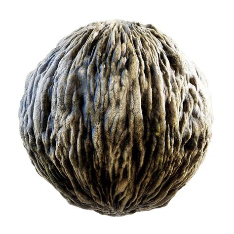 Tree Bark PBR Texture