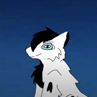 Sparrow Wolf Casting Call Club