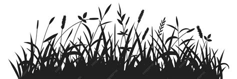 Premium Vector Drawn Wild Grass Isolated On White Background