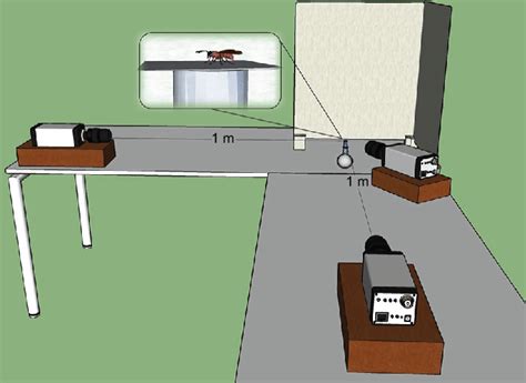 Camera Setup For Recording Jumps Two Orthogonal Cameras Were Set 1 Or