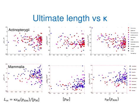 Biodiversity In The Context Of Deb Theory Ppt Download