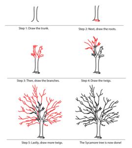 How To Draw A Tree Step By Step Image Guides How To Draw A Tree Step By Step Image Guides