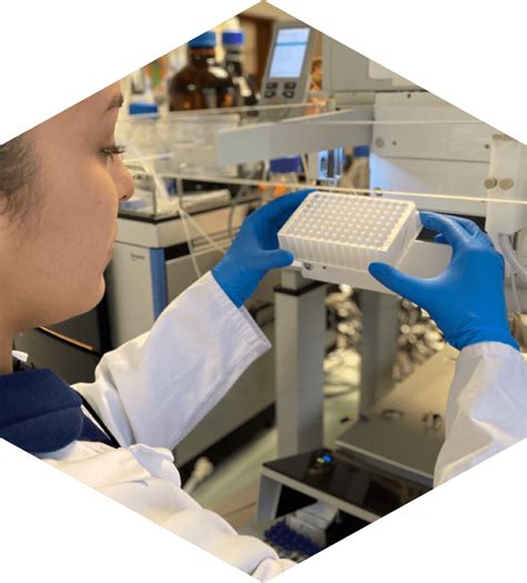 Lipidomics Metabolomics Services Firalis Molecular Precision