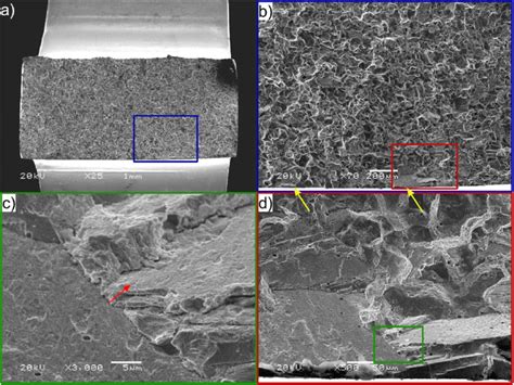 Sem Picture Of The Fatigue Fracture Surface Of Specimen 8 Download Scientific Diagram