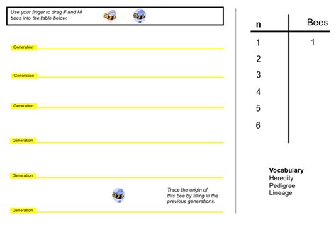 Solve And Simplify Fibonacci Sequence In Nature Activity Lesson